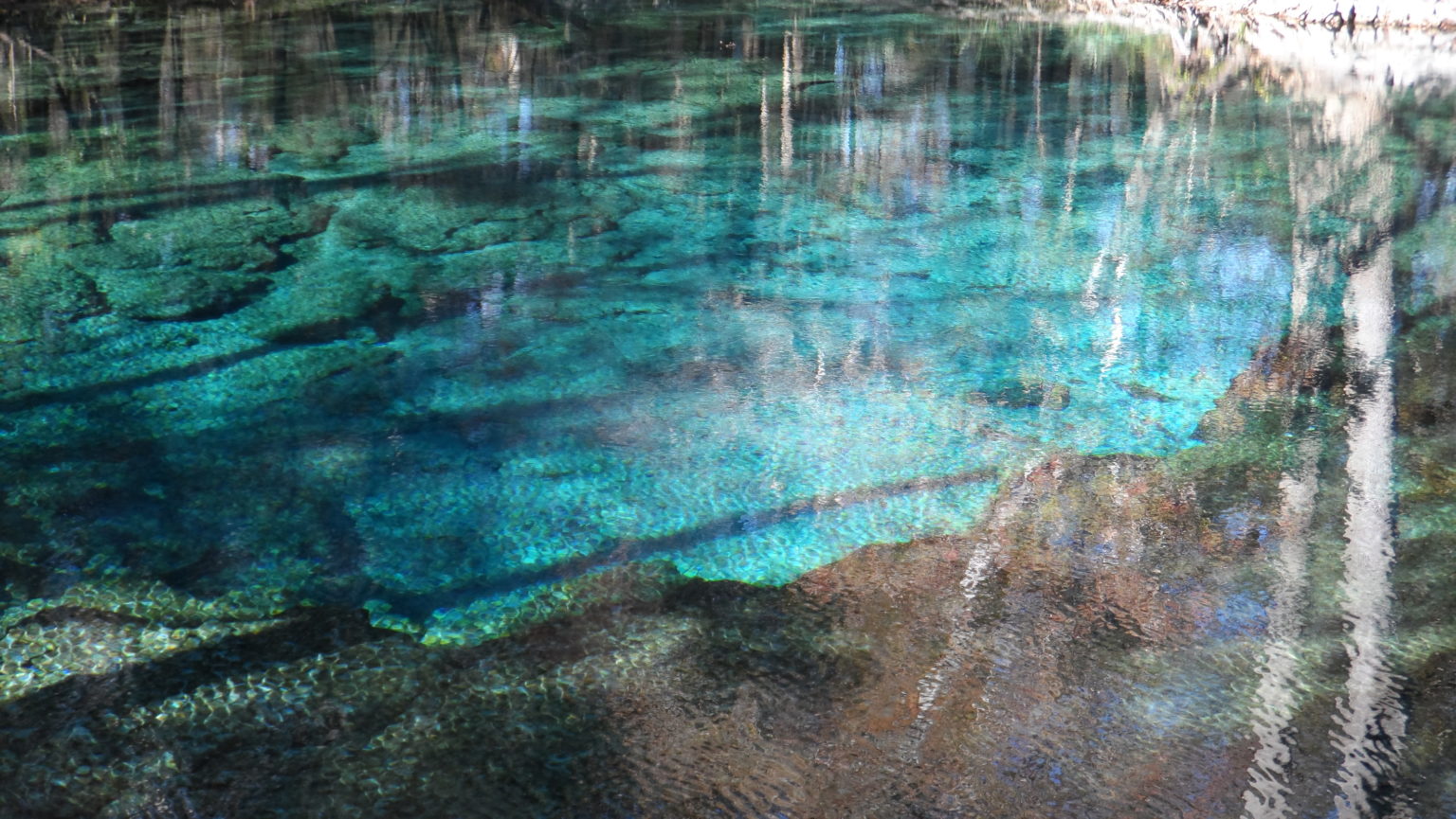 Water drawdown exposes the beauty of Florida’s lost springs - WMNF 88.5 FM