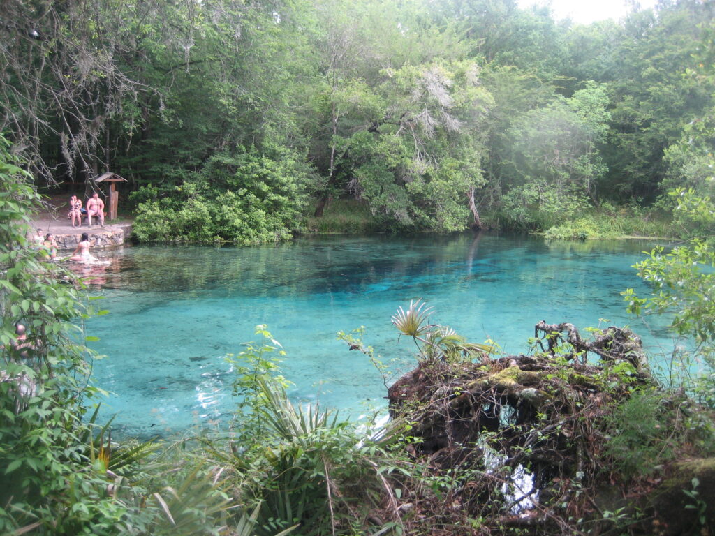 Florida rules for springs draw a legal challenge - WMNF 88.5 FM