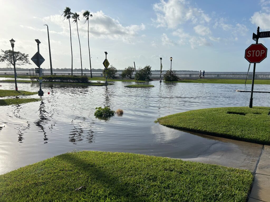 Staff - WMNF 88.5 FM