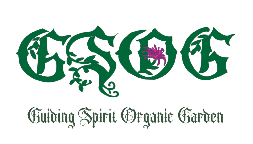 WMNF 88.5 FM Tampa - Community Conscious Radio