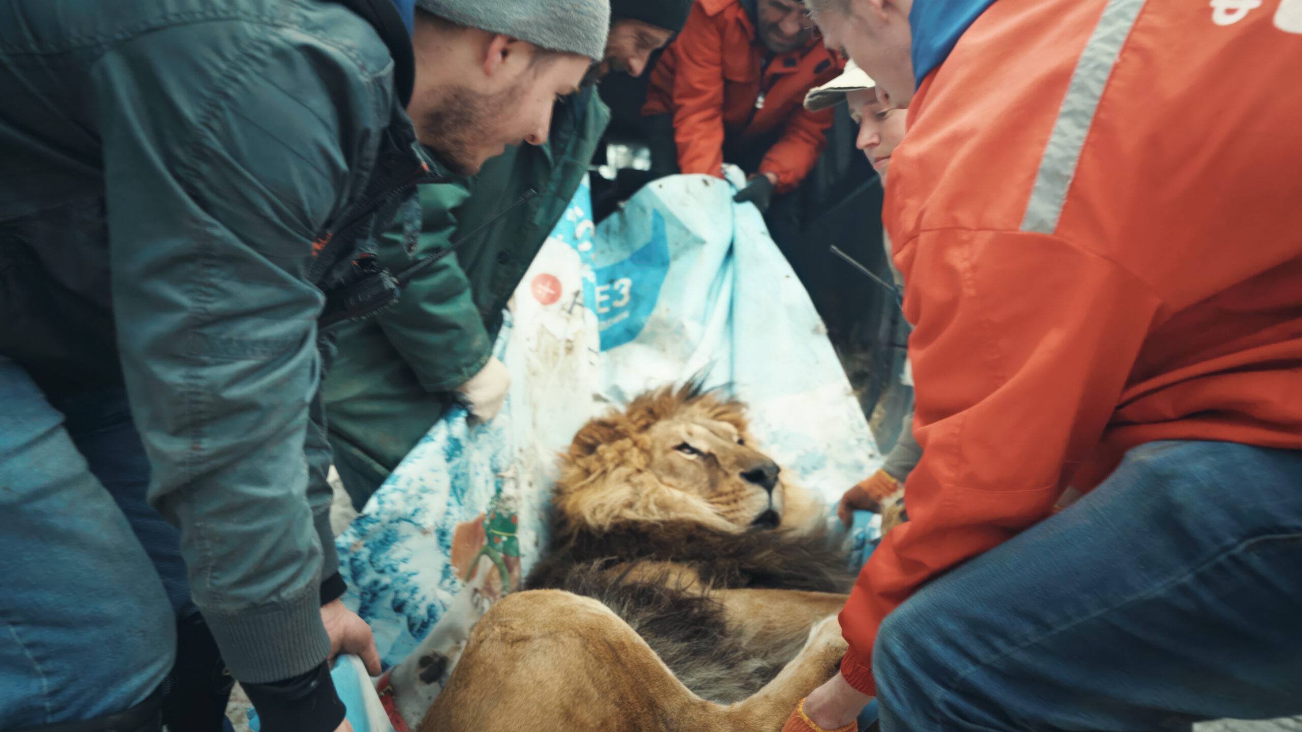 Talking Animals: Filmmaker’s acclaimed new documentary, “Checkpoint Zoo ...