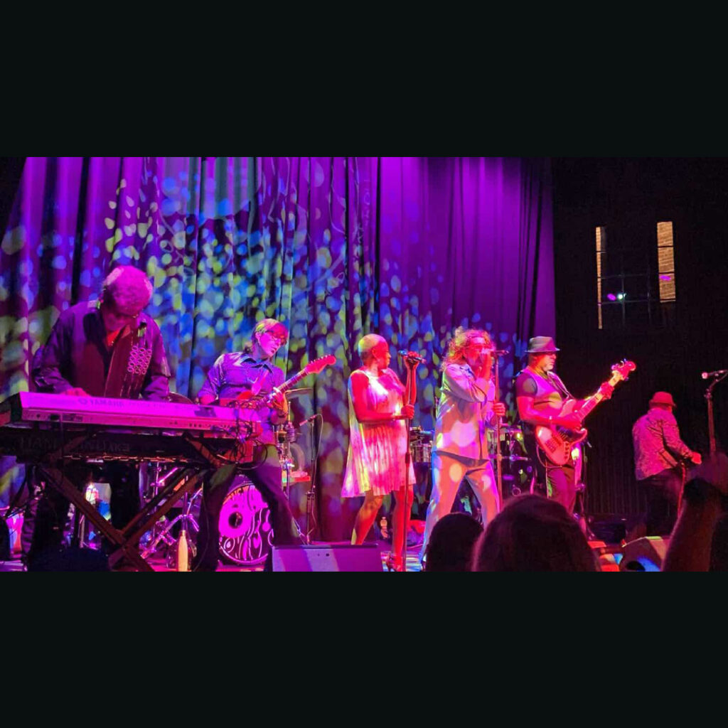 This is The Black Honkey Band - WMNF 88.5 FM