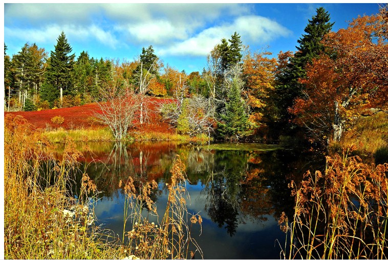 "A Time of Reflection" on Morning Energy - WMNF 88.5 FM