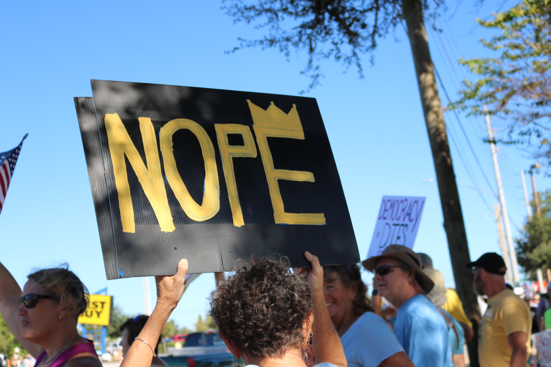 No Kings protest in St. Petersburg - WMNF 88.5 FM