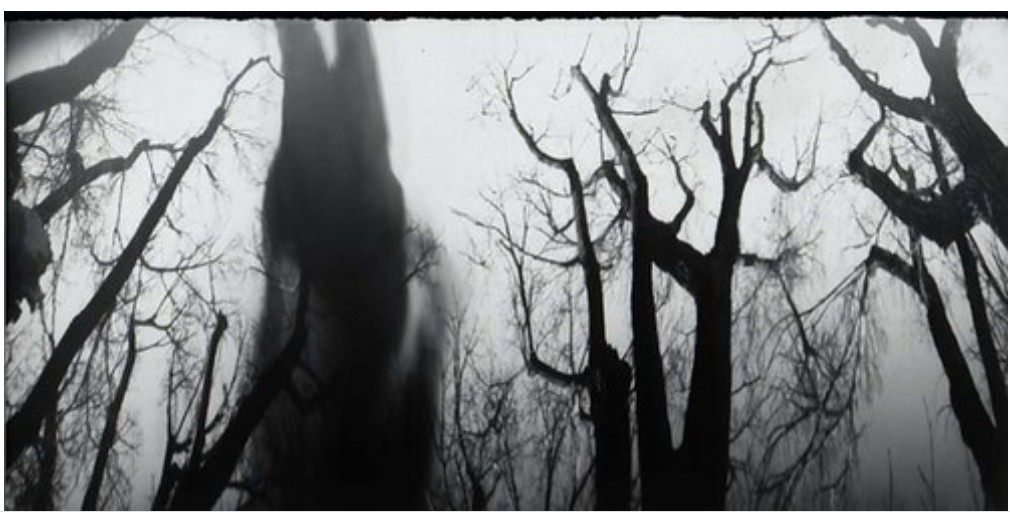 "Spooky Situations and Celebrations" on Morning Energy - WMNF 88.5 FM