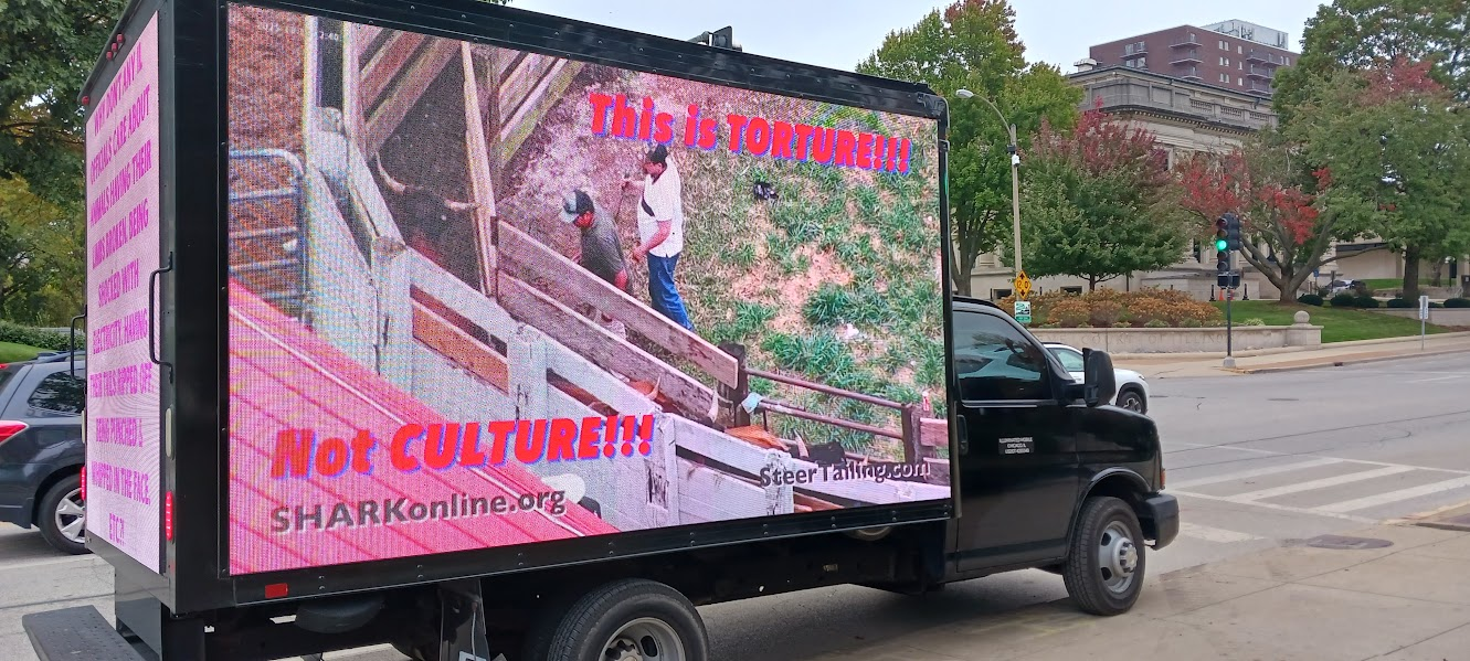 SHARK founder chronicles his transformation from avid fisherman-hunter ...