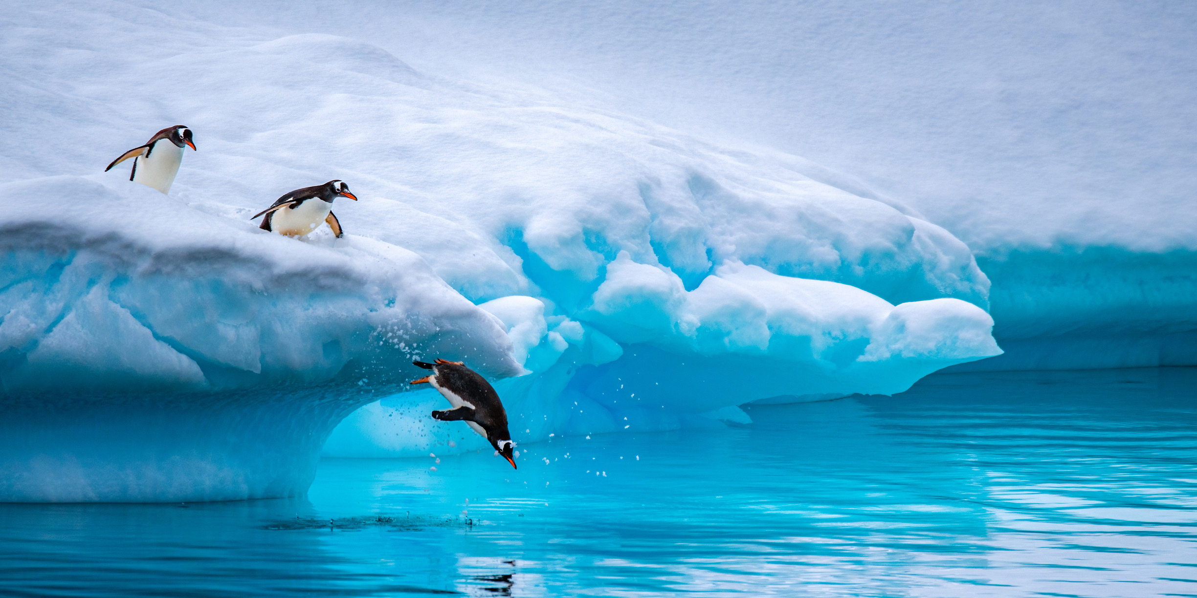 West Antarctica’s history of rapid melting foretells sudden shifts in ...