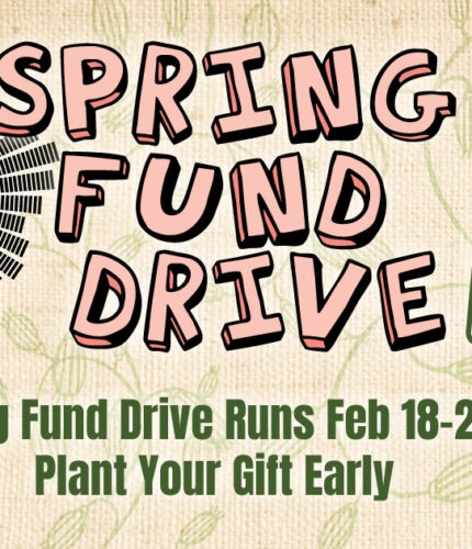 Pet sitter of the year Amy Munns traces arc of her 25 year career since ...