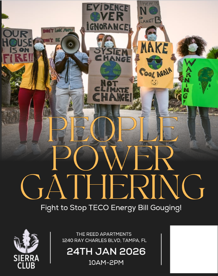 Standing up for power justice - WMNF 88.5 FM