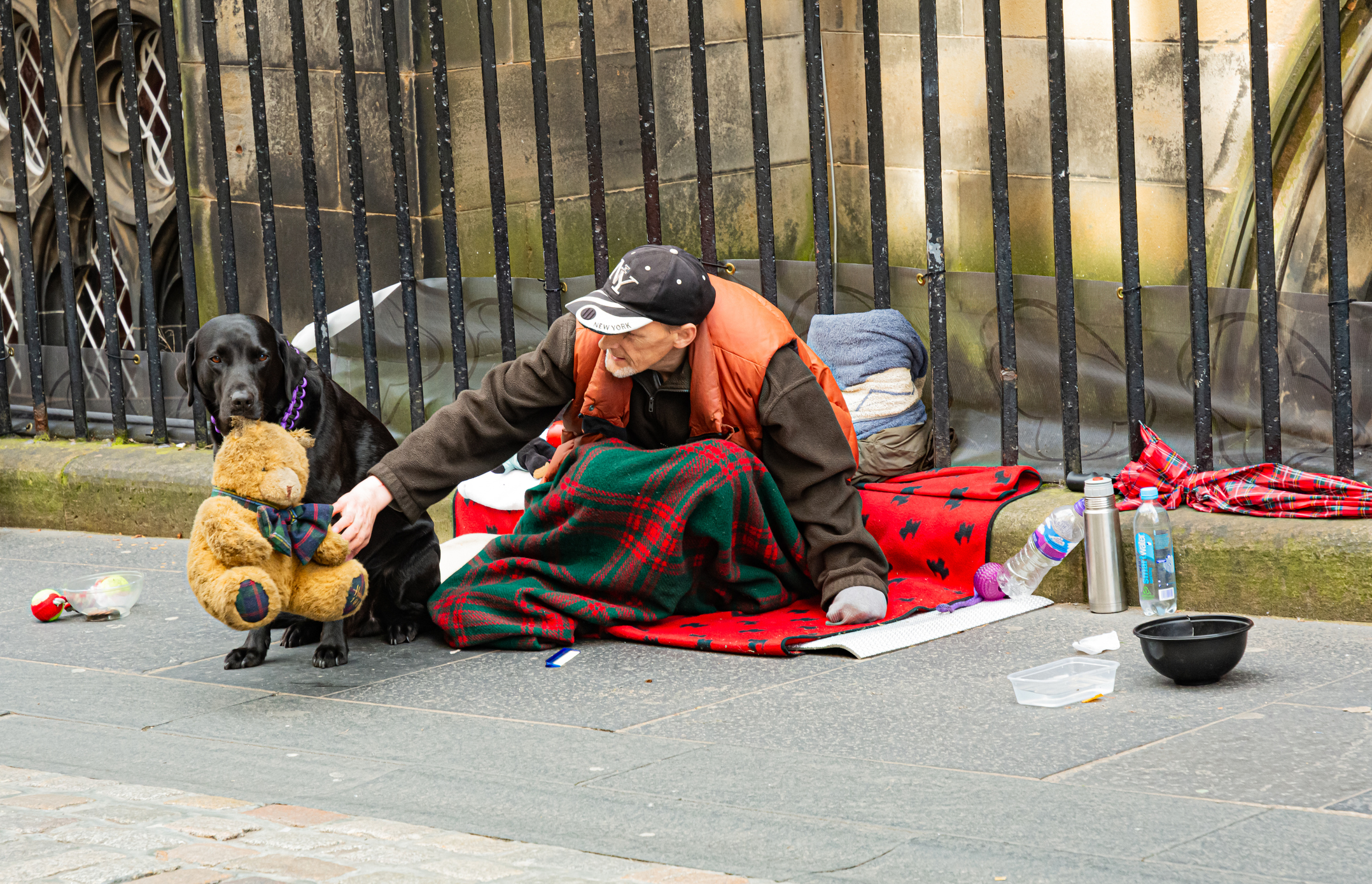 A pet‑friendly homeless shelter pilot reduced the rate of homelessness ...